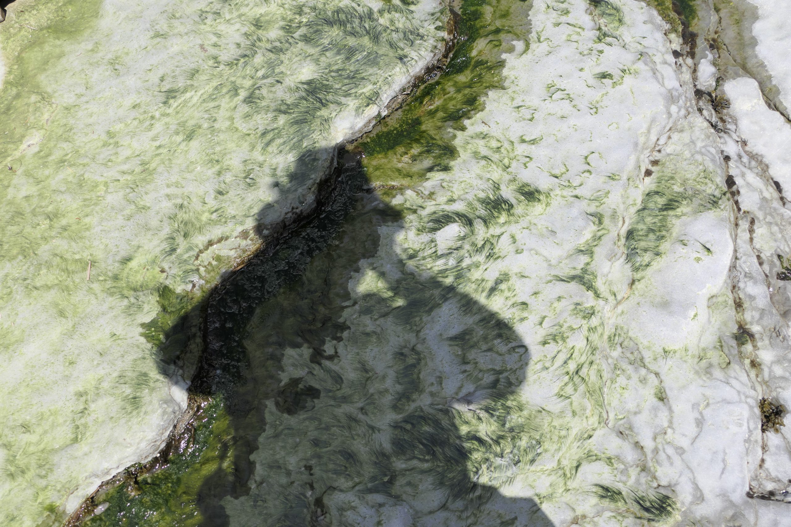 Jean-Claude Clavet - Culture Gaspésie